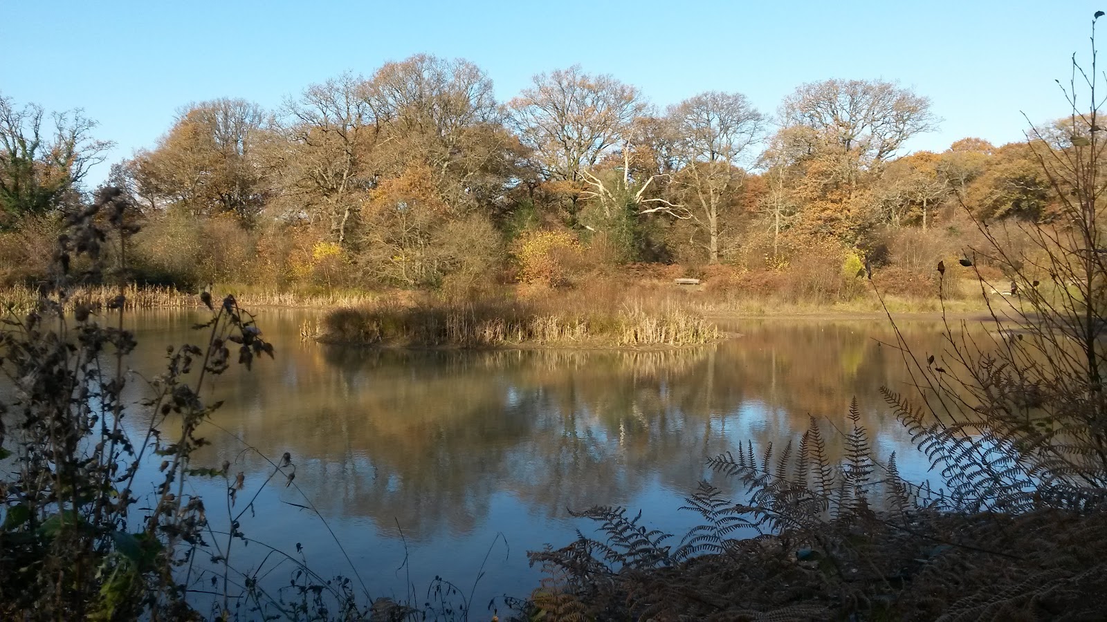 Cycling via Bookham Common to Polesden Lacey