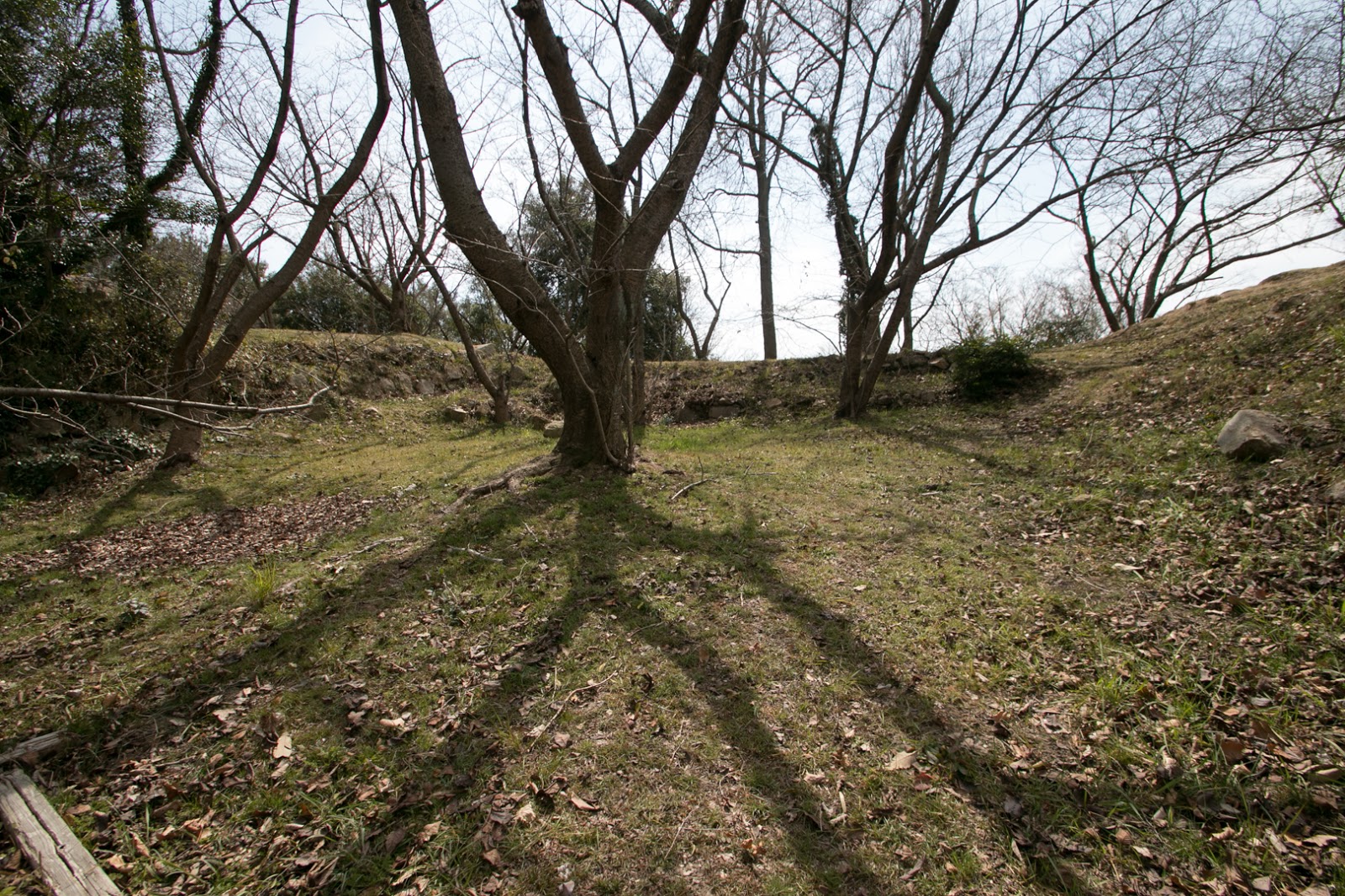 Shimotsui Castle -Castle looking down straight and bridge- | Japan ...