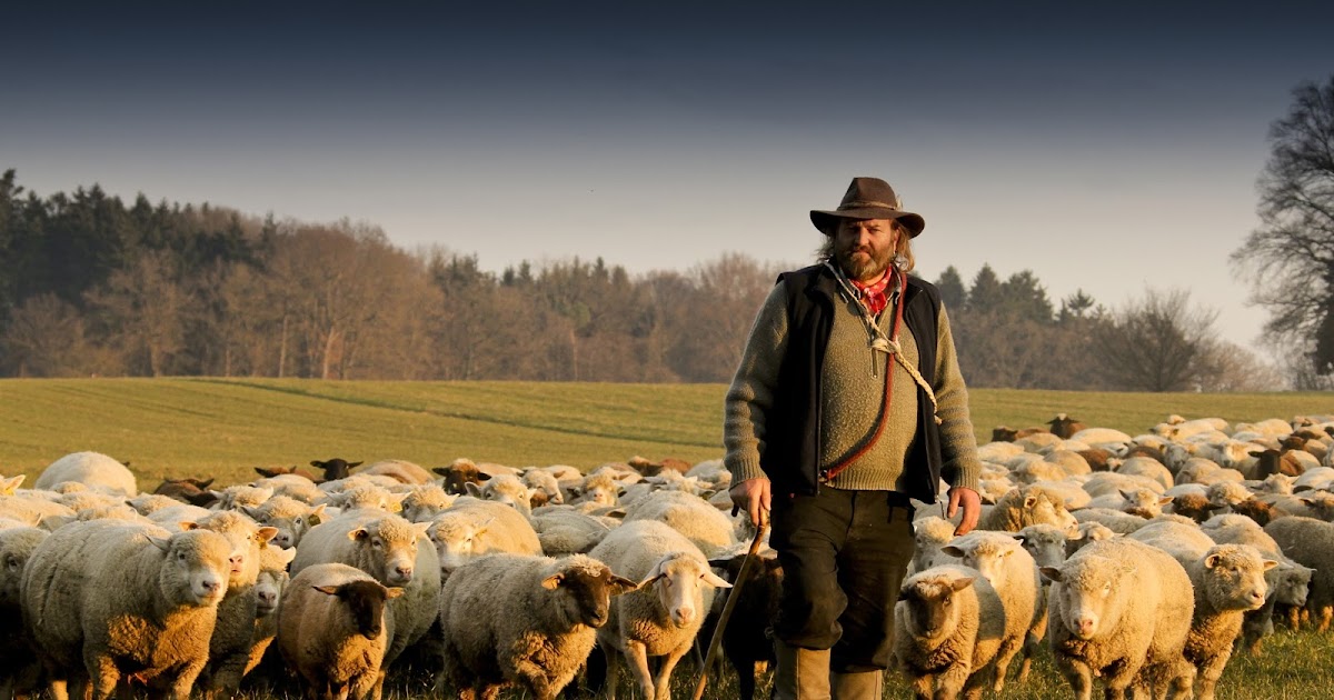 An Arkies Musings: I Want To Be A Shepherd