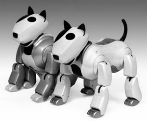 Robots con control Sensorizado ~ Robotrox