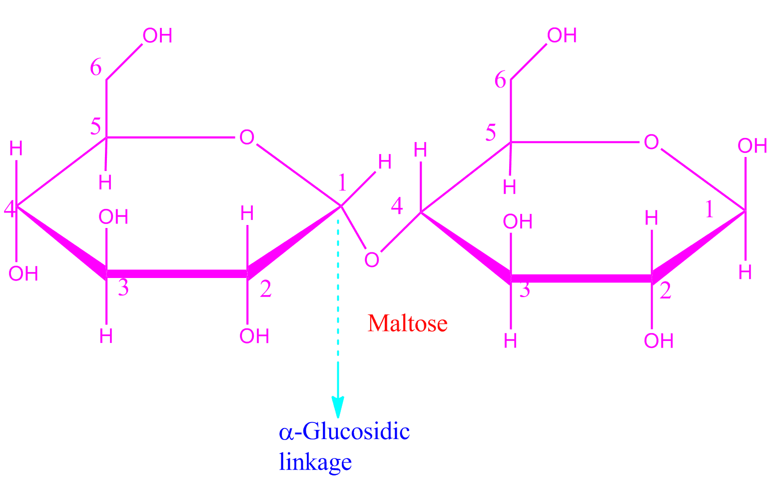 Definition of mutarotation and how it depends on temperature ...