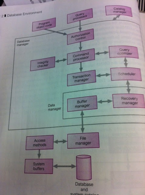 Summary DBMS: CHAPTER 2 DATABASE ENVIRONMENTS