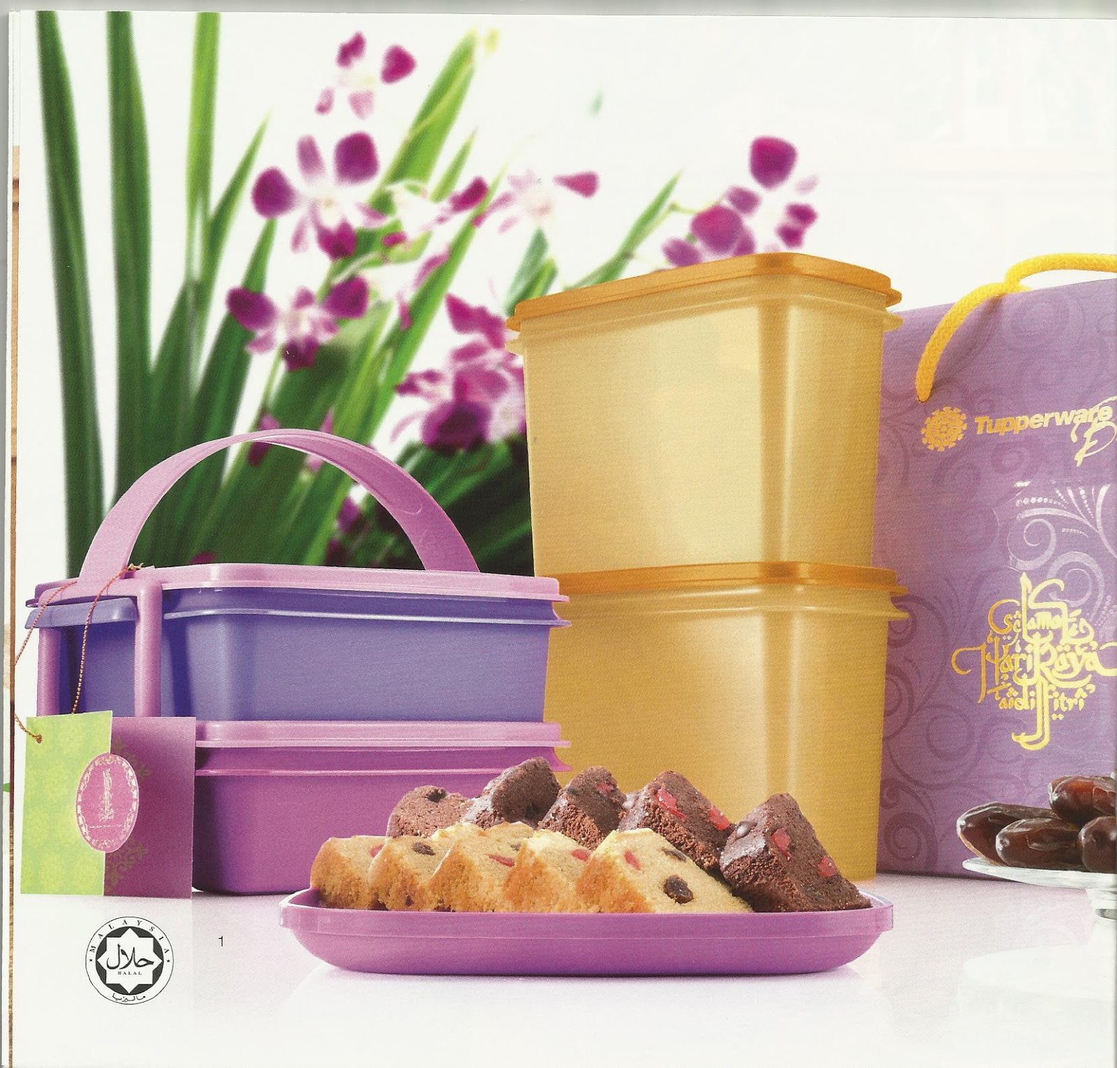 SHARE THE GIFT: Tupperware Catalogue : 1st July - 17th August 2013
