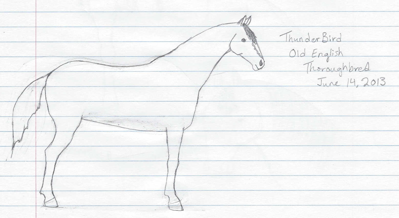 Equine Masterpiece: Shotty Sketch of a Thoroughbred