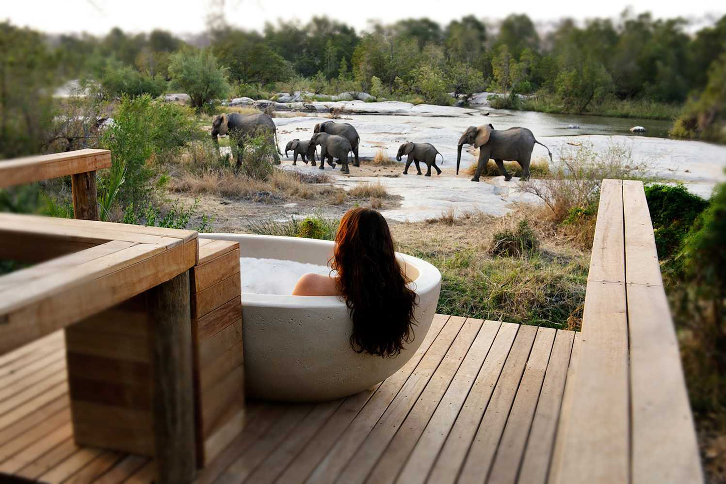 Bravo: World's Best Safari Camps