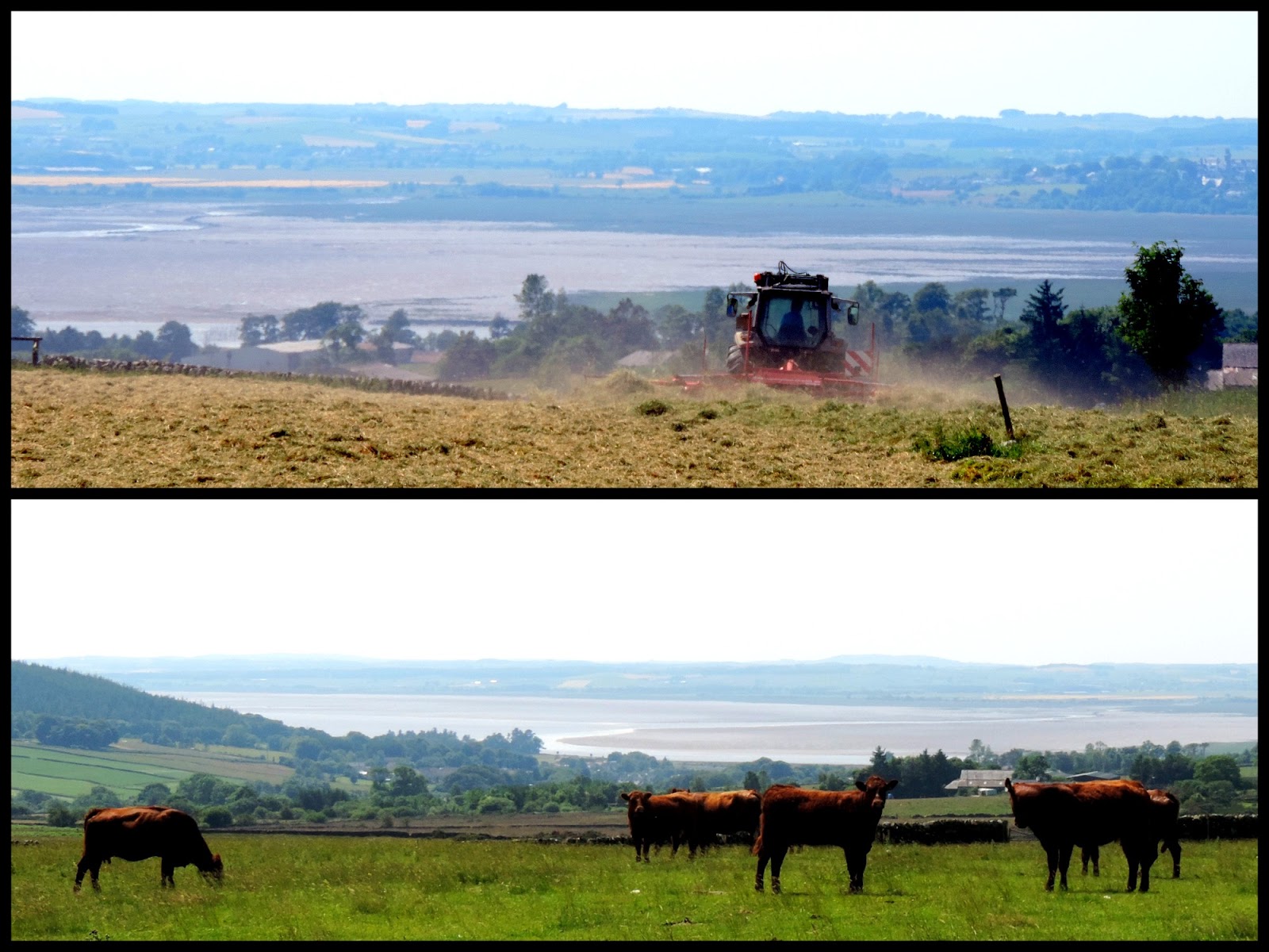 The Glebe Blog: Wigtownshire Ramblers Cuil Creetown July 2013