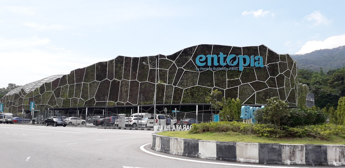 Mohd Faiz bin Abdul Manan: Entopia @ Penang Butterfly Farm