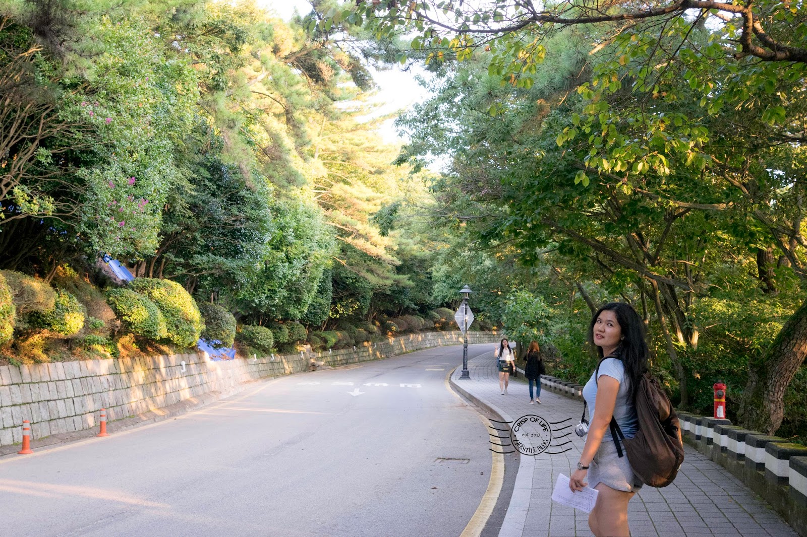 Taejongdae Natural Park @ Busan, South Korea - Crisp of Life