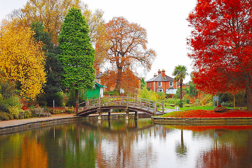LOS PAISAJES MAS HERMOSOS: PAISAJES COLORIDOS