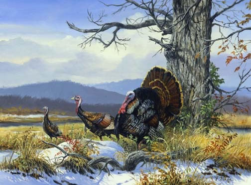 لوحات رائعة (3) من Linda Picken Art Studio - مدونة افتكاسات للصور