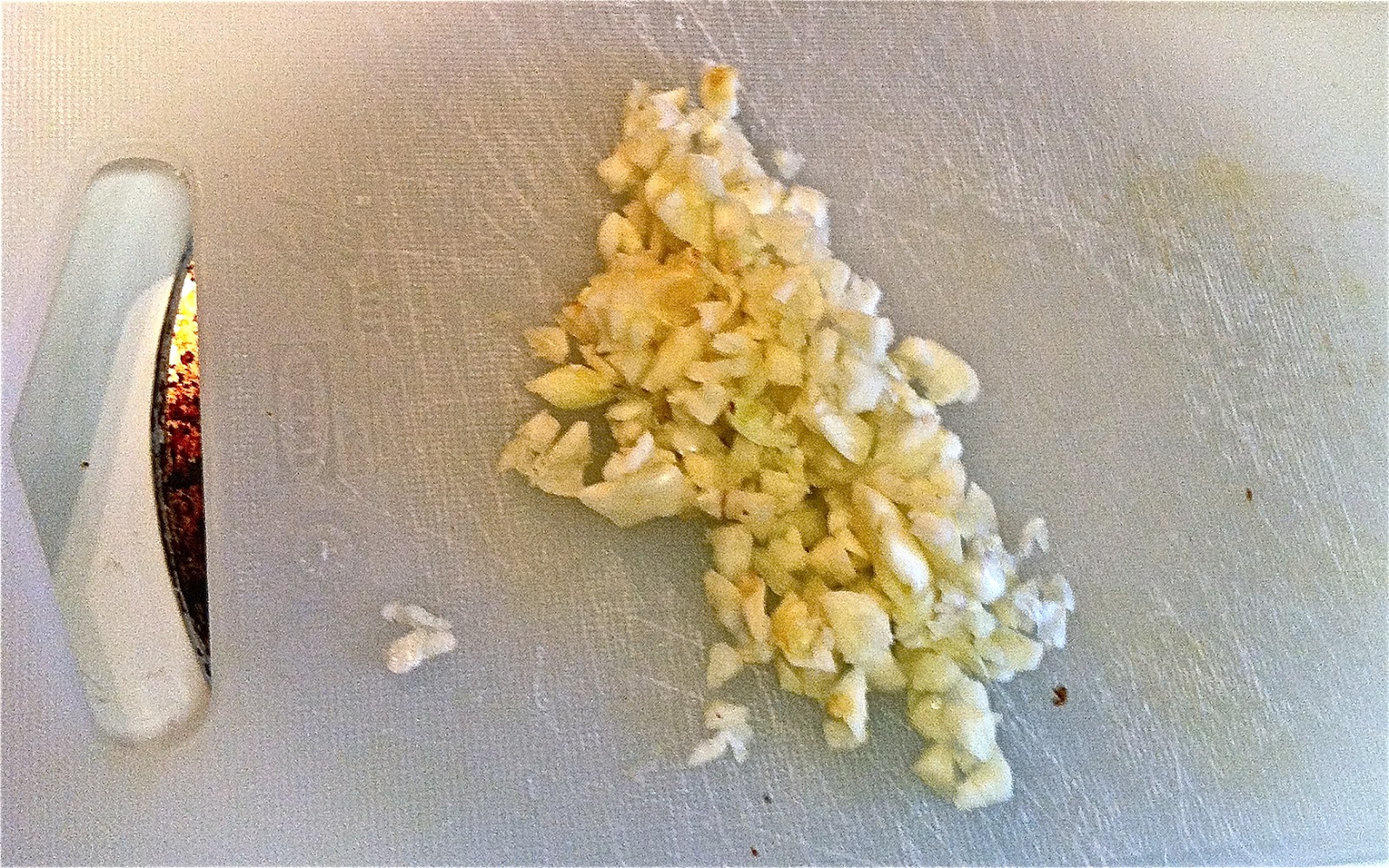 The Wise Owl Healing: Dead Bug Soup!