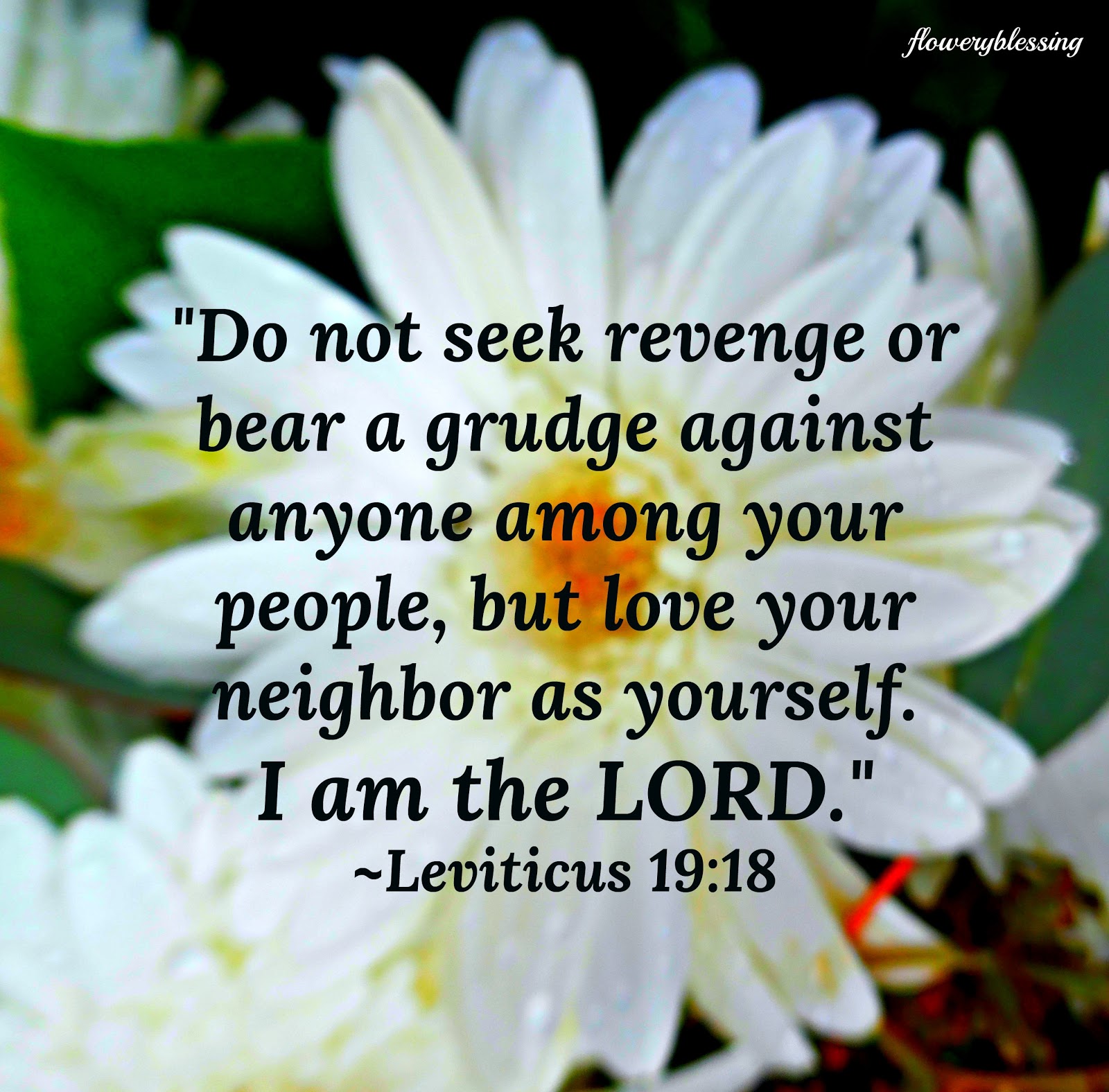 Flowery Blessing: "Do not seek revenge or bear a grudge against anyone ...