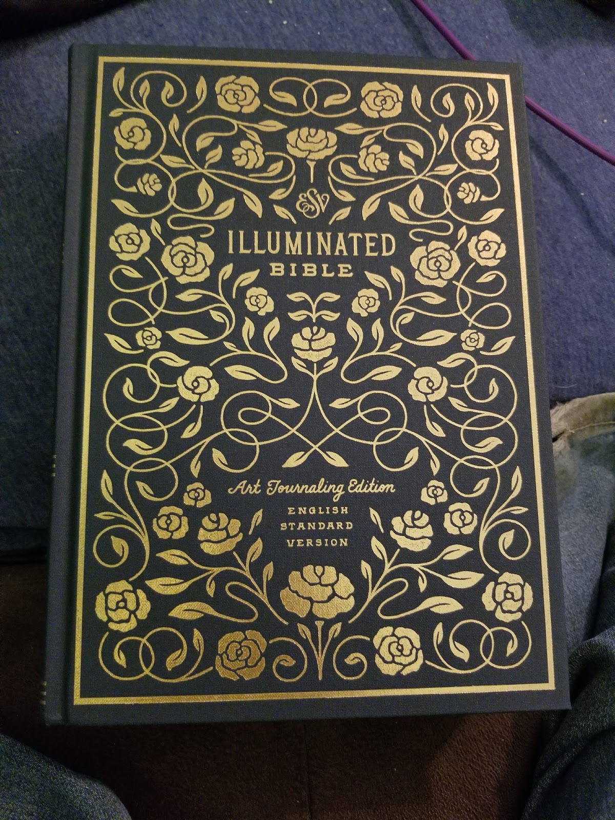 Chas Ray's Book Nerd Corner: ESV Illuminated Bible