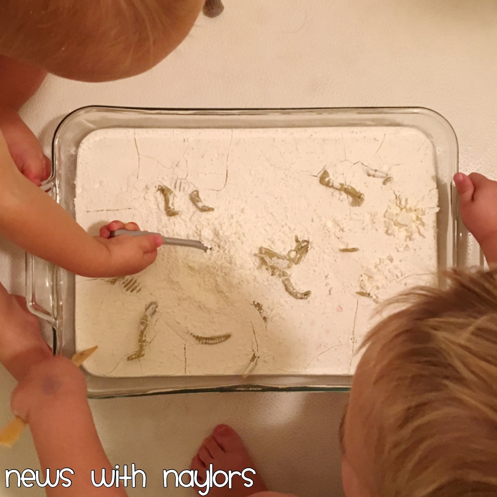 Digging for Dinosaur Fossils