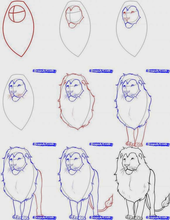 Step-by-step sketching examples | Stuff You Look