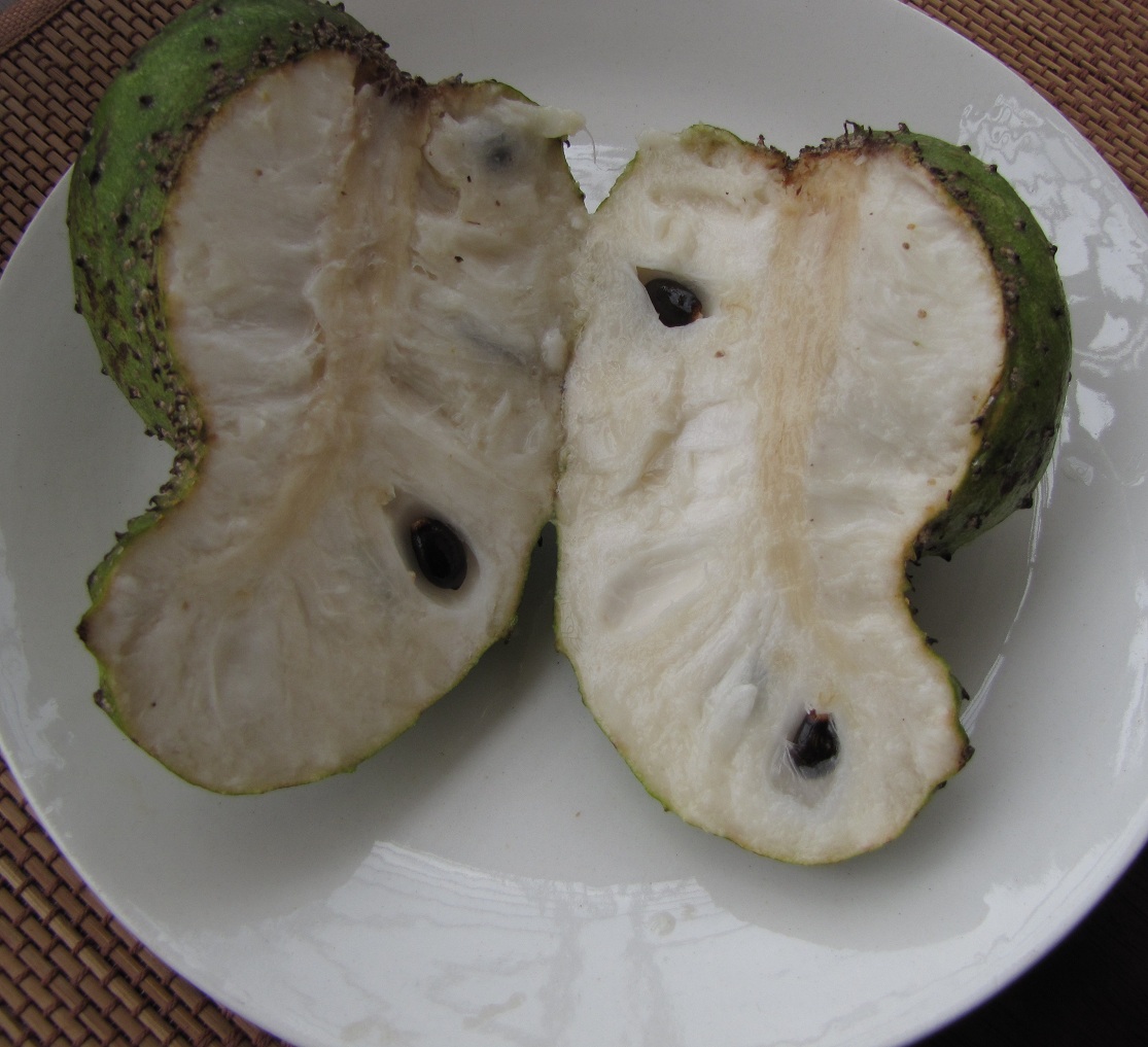 Super Yummy Recipes: Soursop Smoothie a Natural Cancer Fighter