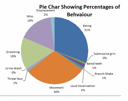 Capuchin Behavior : December 2013