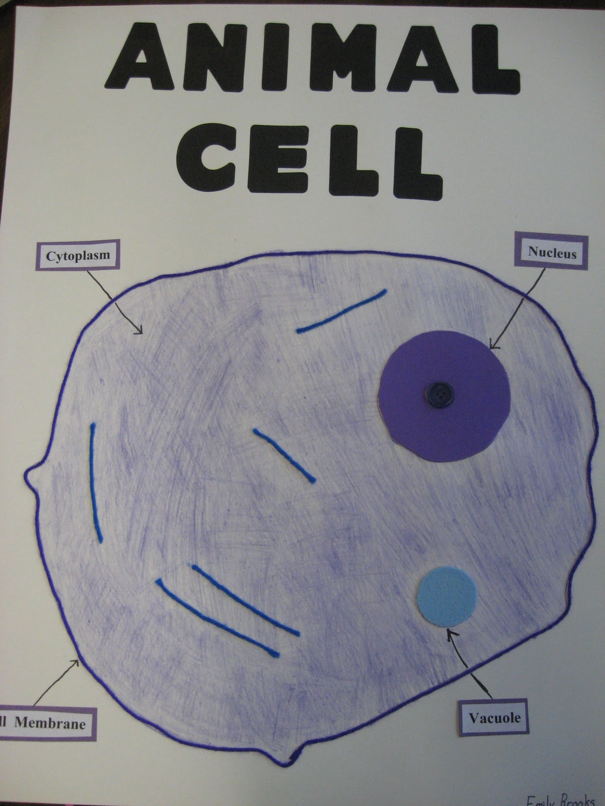 Third Grade Smarties!: Animal and Plant Cells
