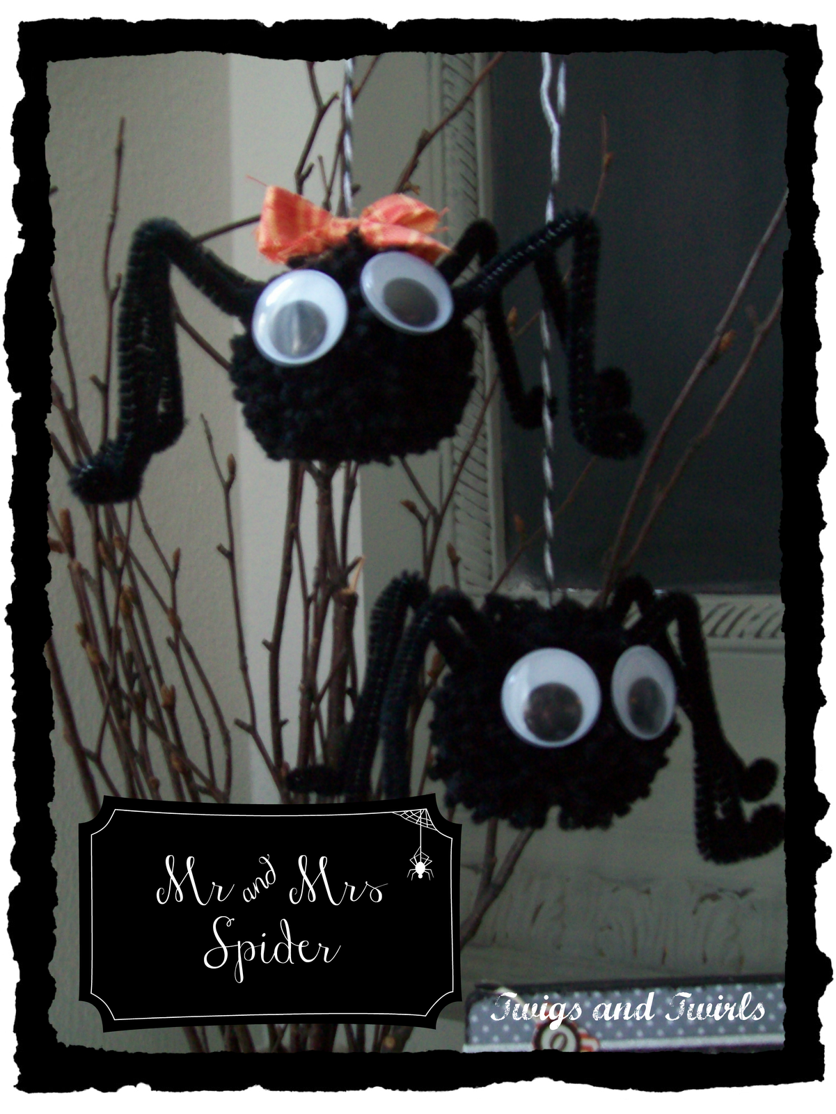 Twigs and Twirls: Meet Mr & Mrs Spider....