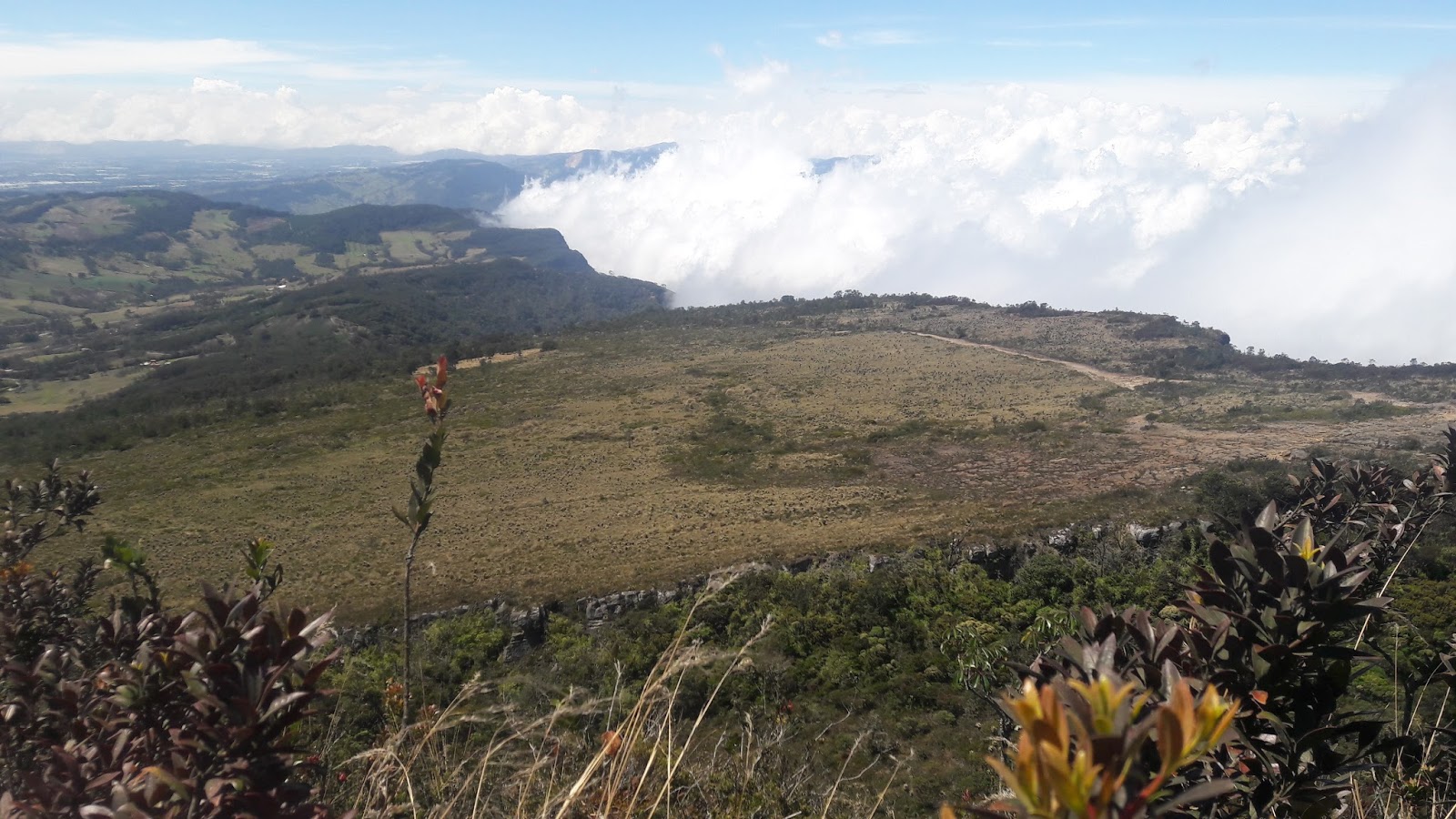 El Tablazo: Características