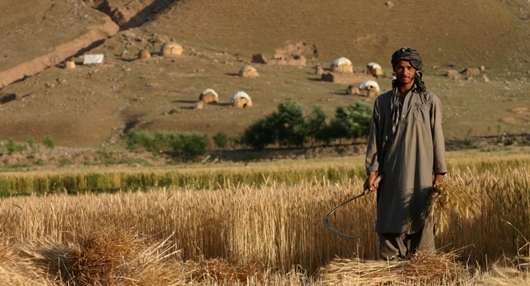 História e Arte Nova era: O povo afegão e a esperança de um futuro melhor