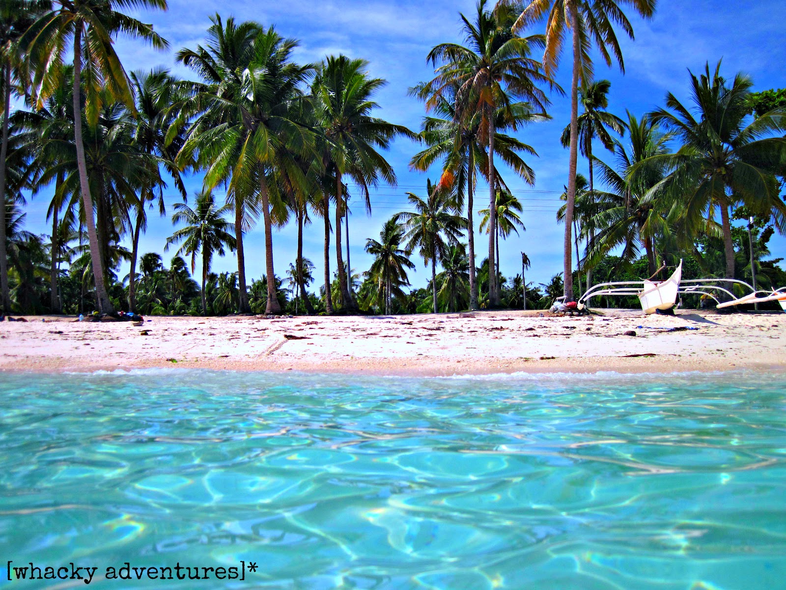 Whacky Adventures*: Whacky Sidetrip: Malapascua Island, Cebu