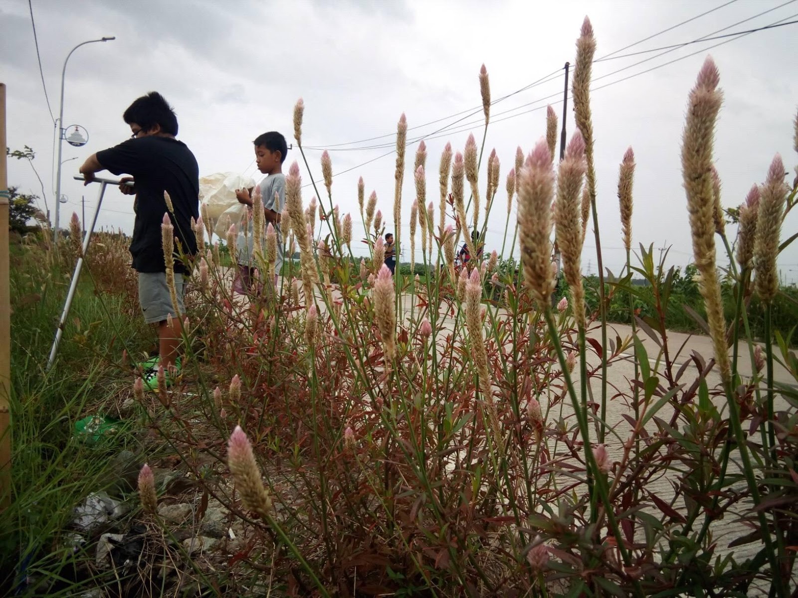Revolusi Sebatang Bambu : Edisi Membentuk Generasi Emas Hijau dan ...