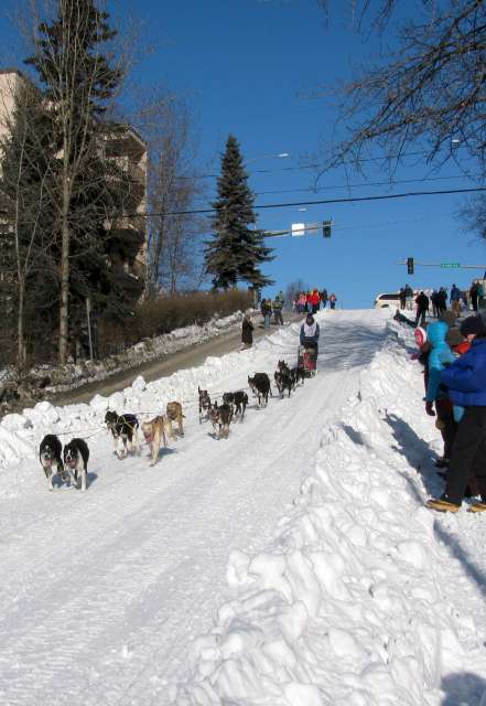 Backstage Iditarod: More Rondy, Day 2 -- Down Cordova Hill