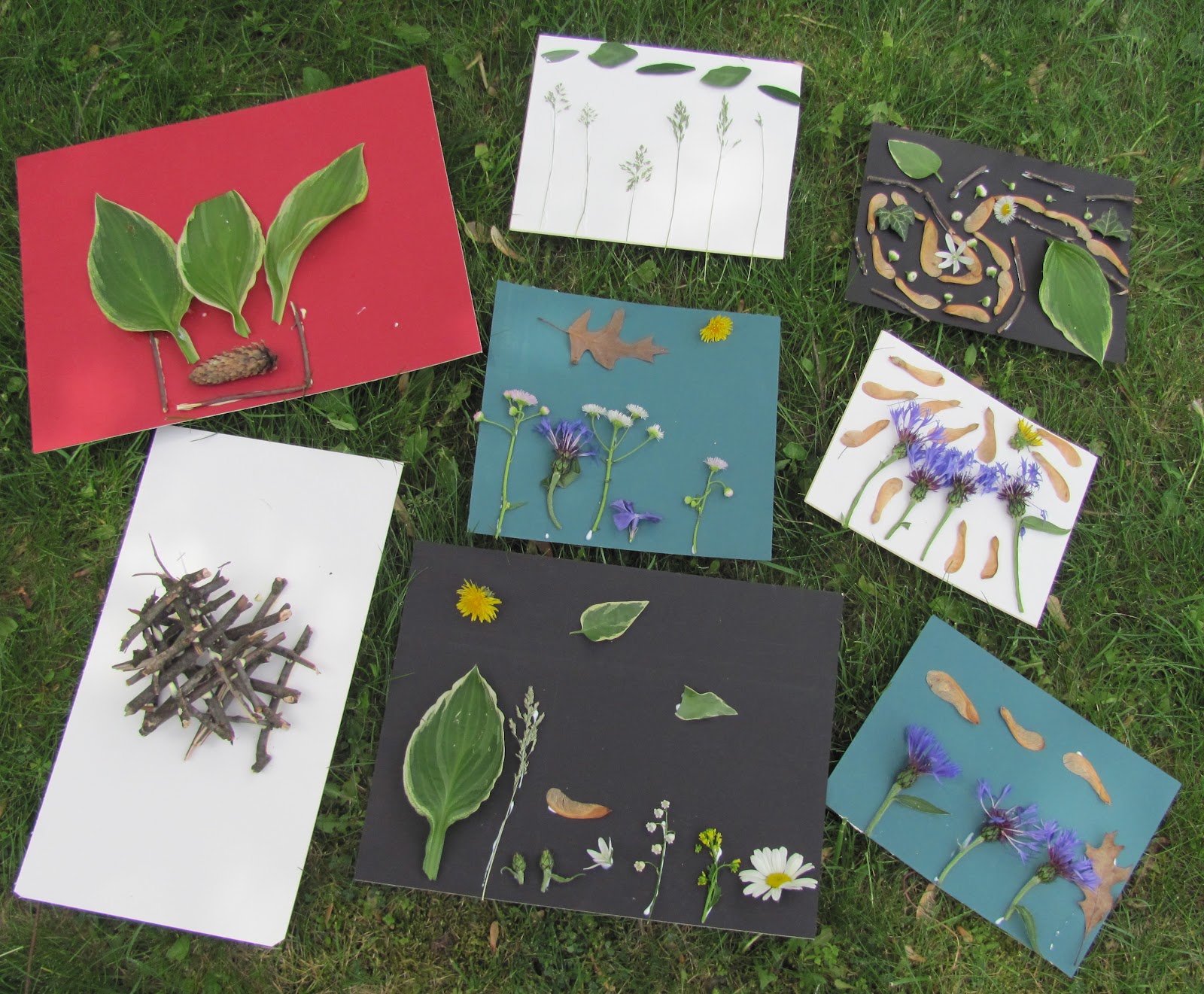 The Chocolate Muffin Tree: Outdoor Nature Collages