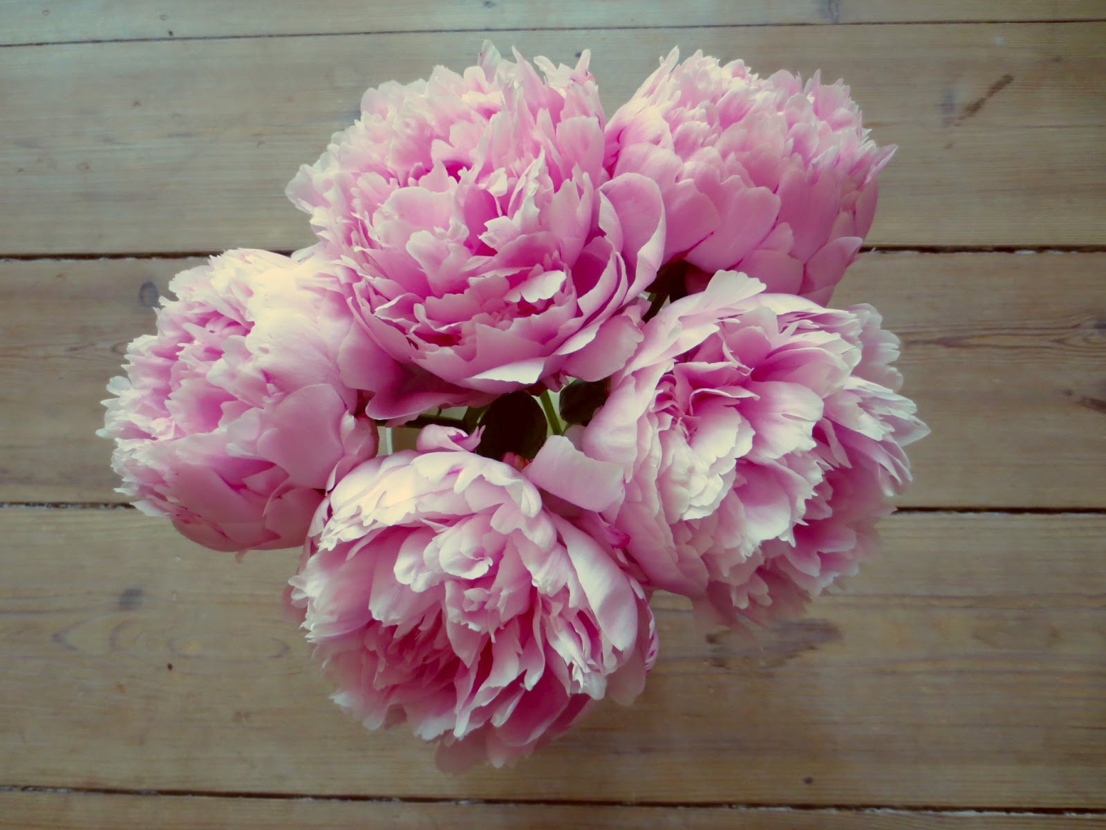 med kærlig hilsen: May 2013