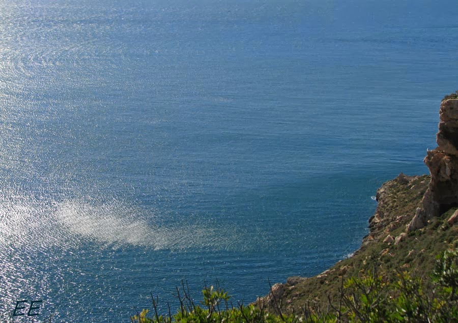 Mallorca es así también: Punta de El Toro - rodeada de azules