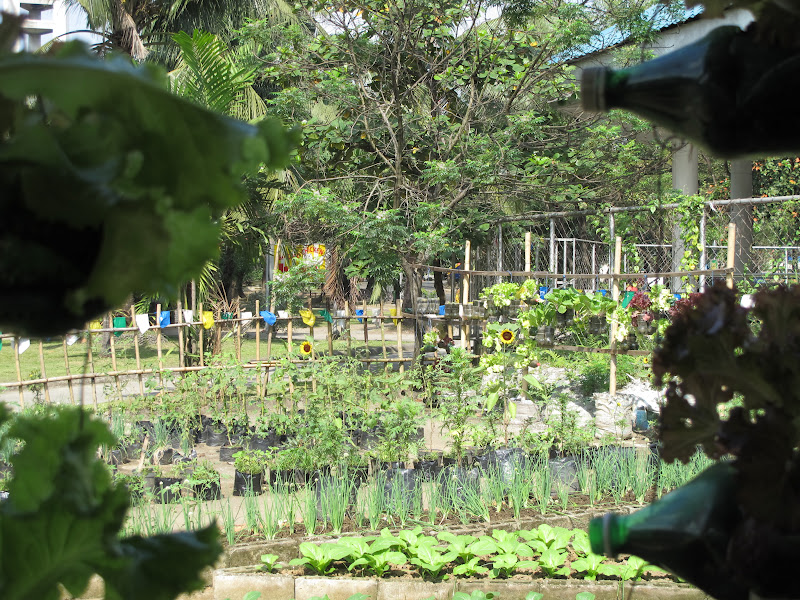 Spread Organic Agriculture in the Philippines: SEMINAR: Rabbit ...