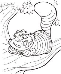 Dibujo del gato rison para colorear﻿ ~ 4 Dibujo