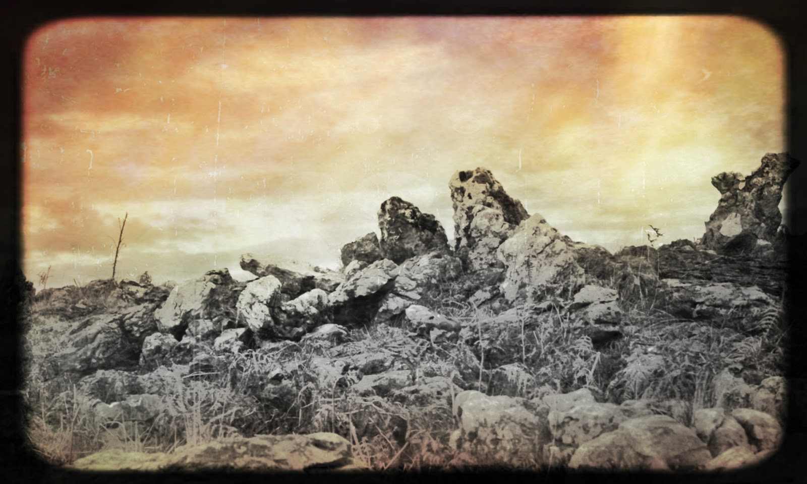 The Bell Branch: In Search of Ella Young: "THE DIRGE OF THE FOUR CITIES"