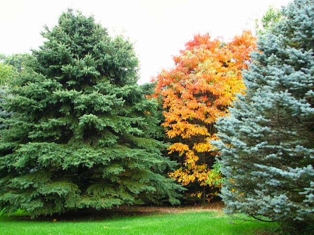 Mermaid At Frog Hollow: Tip toeing with Tootsie Oct 4th