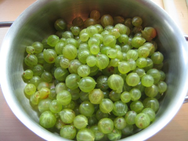 Northern Nigella: Gooseberry compote