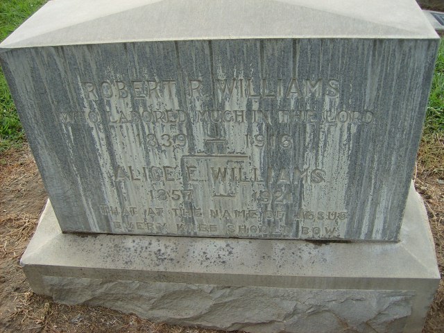 STEM Education: Robert Runnels Williams