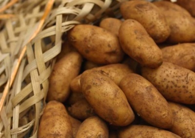 Korisni savjeti kako da iskoristite krumpir – Biljna Ljekarna