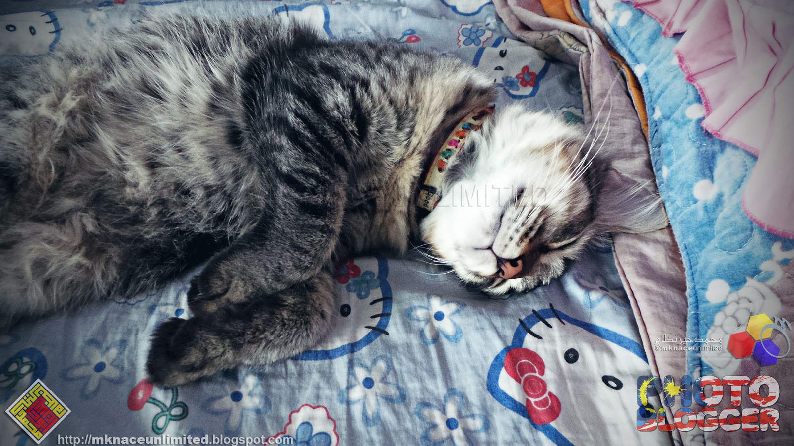 Gebooz Gedikz : Tidur terlentang