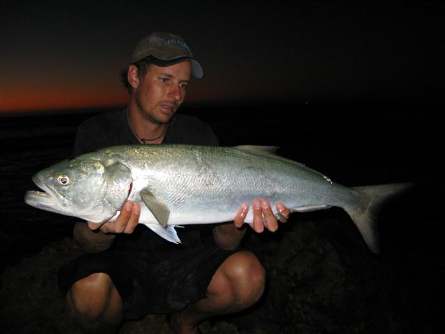 Tailor fishing ~ Bikers World