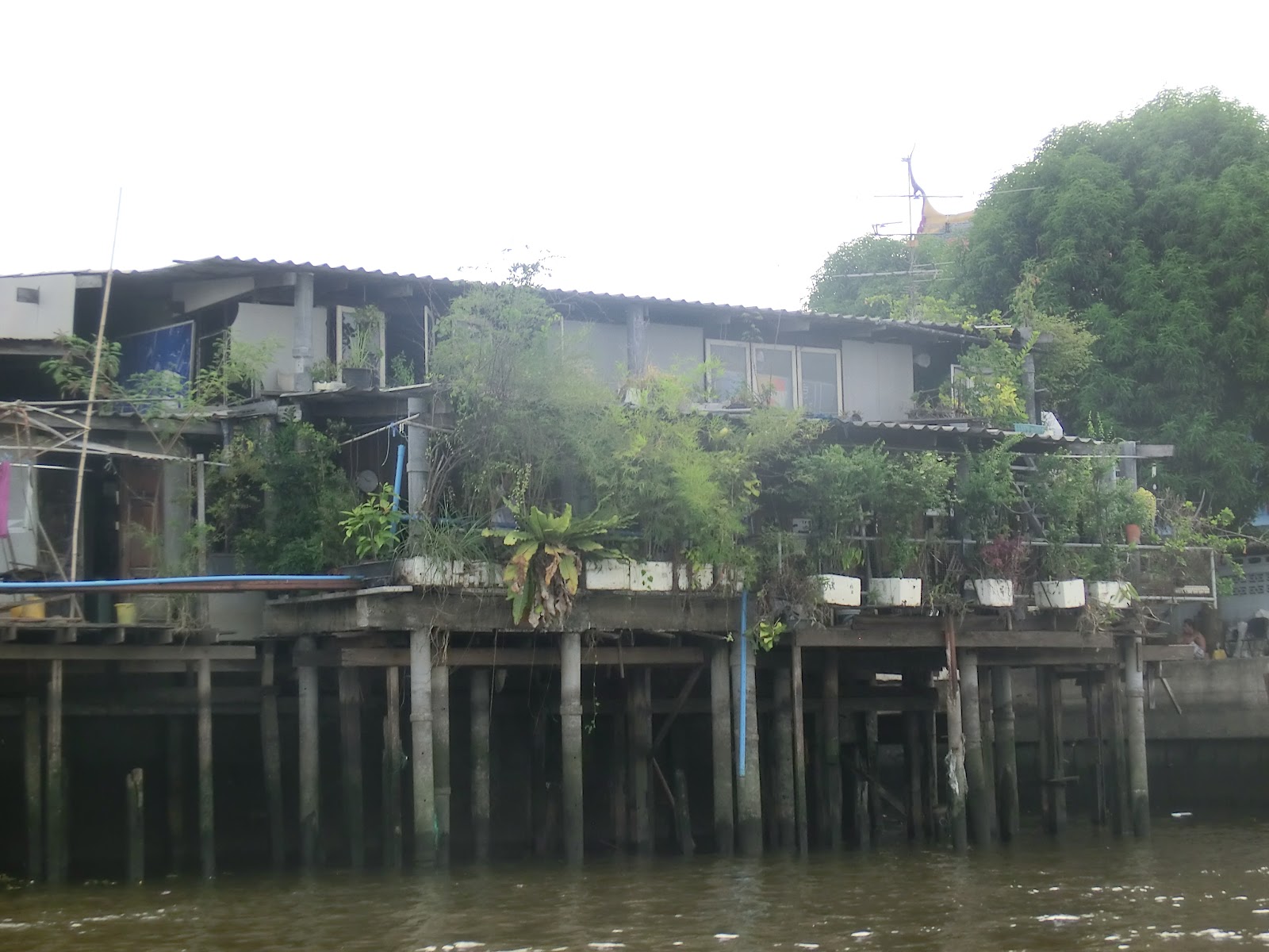 six months in bangkok: Kling Klong - Khlong Tour