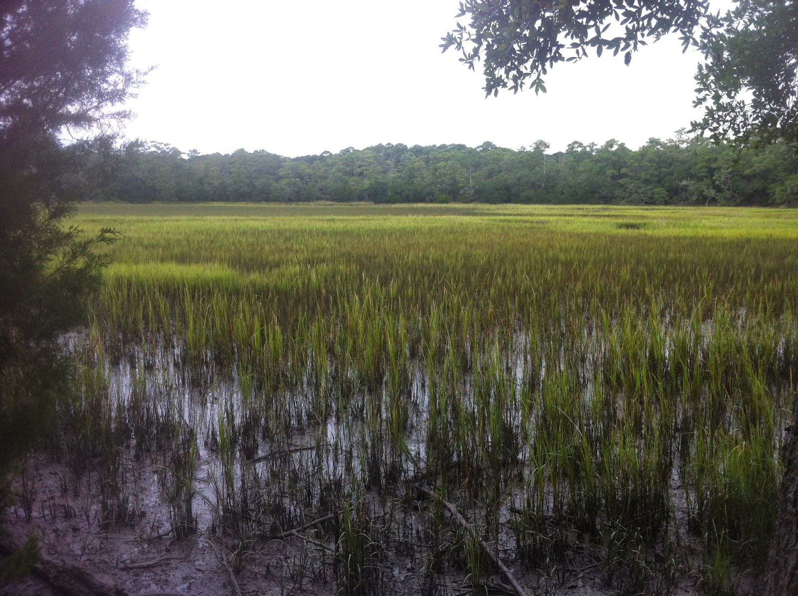 Classy Cathleen: A Look Inside My Camera Roll