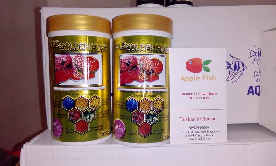 Flower Horn: Flowerhorn Food Available