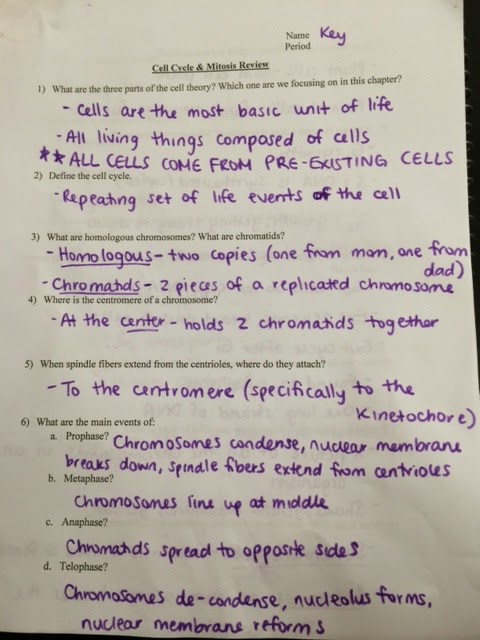 Mr Smirk s Bio 1 Hub Mitosis Review Sheet Mr Smirk s Bio 1 Hub Mitosis Review Sheet
