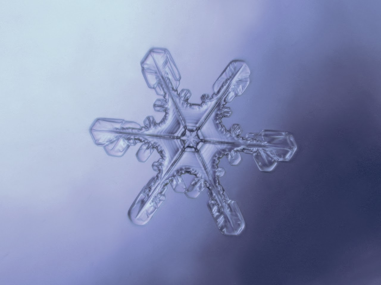 Snow Studio II: ******************** Introducing Snow Studio IV