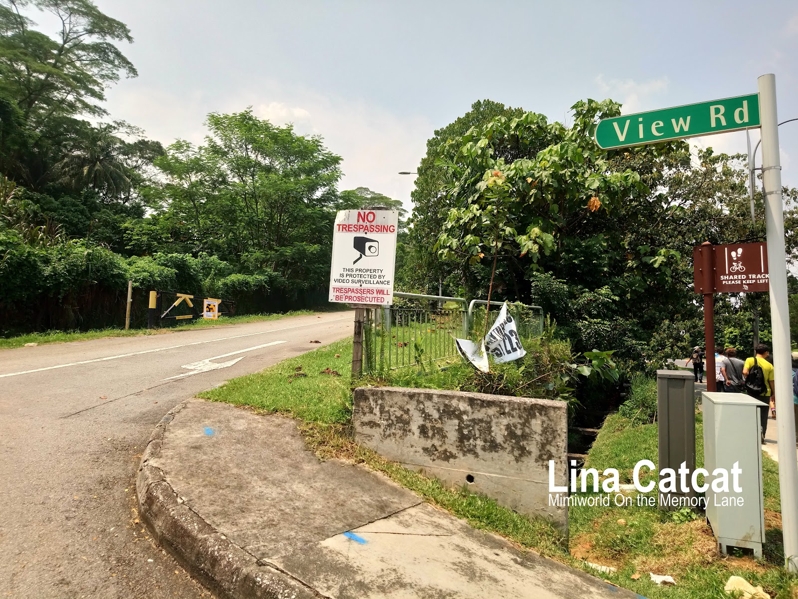 Mimiworld On the Memory Lane: Former NPF and View Rd "Mental' Hospital