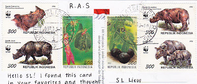 Postcard A La Carte: Indonesia - Map Postcard