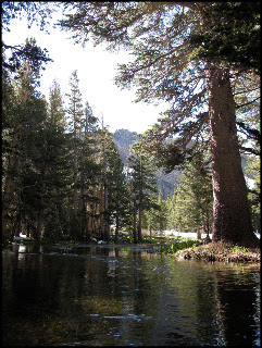 a small insight into my adventures and myself...: Day 2... Tamarack ...