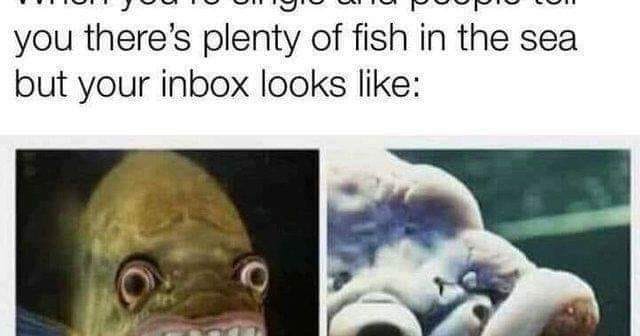 When you're single and people tell you there's plenty of fish in the ...