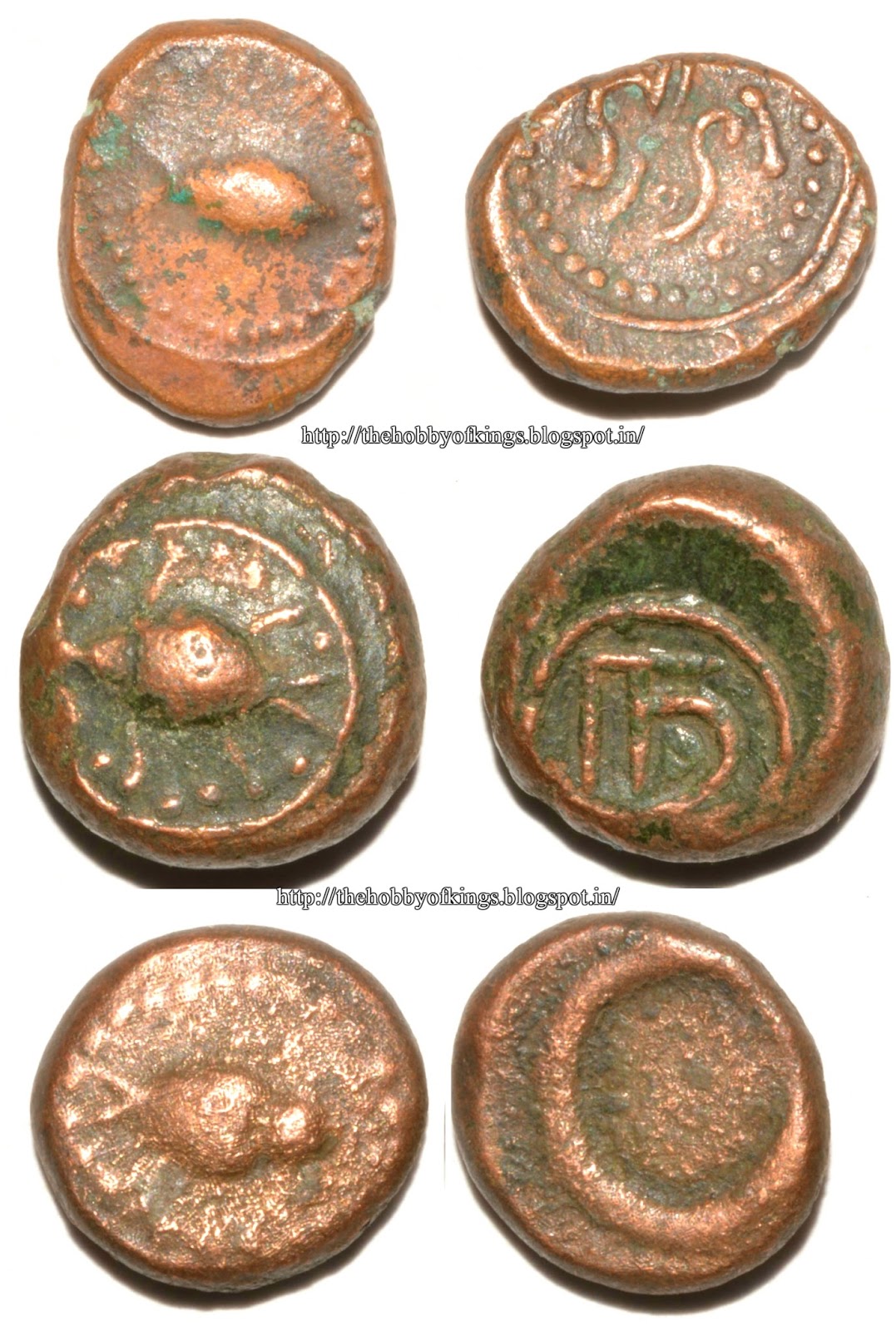 The Fish Coins of Arcot Nawab | The Hobby of Kings
